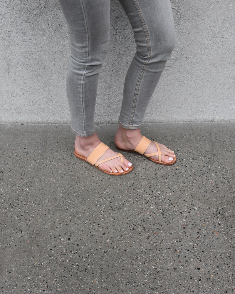 BARR ZORI | s a b a s i l